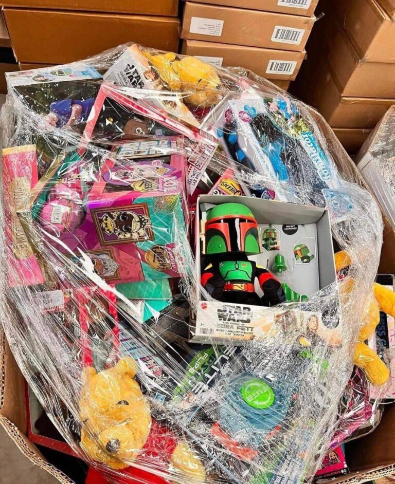 Mixed Toy Pallet – 300 Assorted Toys for Unmatched Fun – Host Liquidation